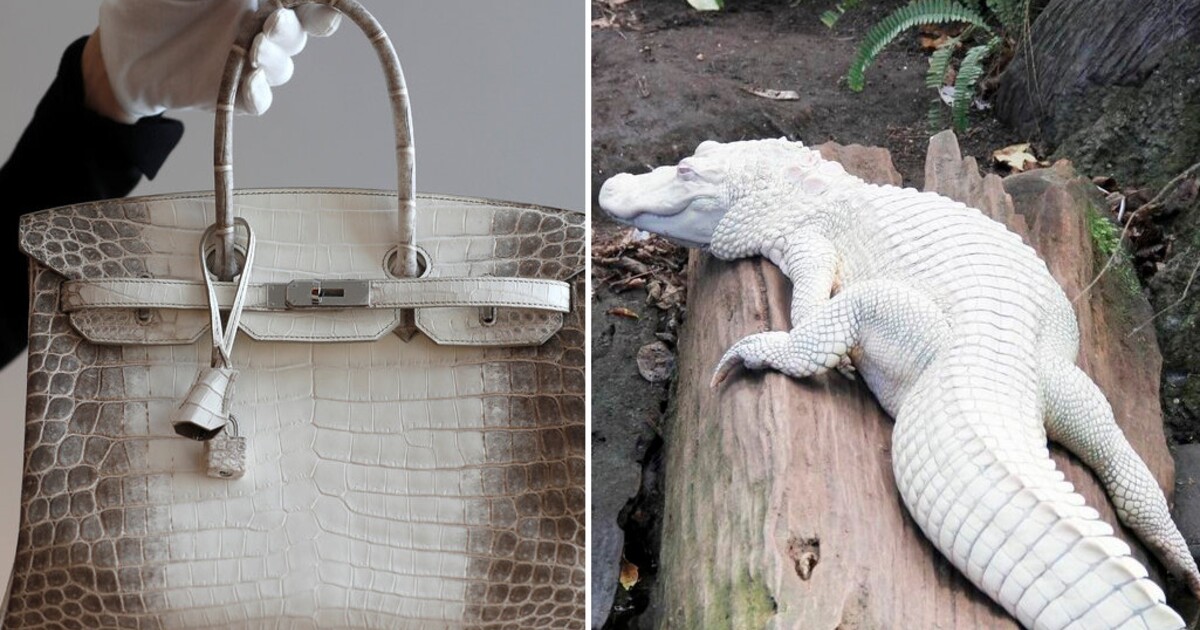 Kabelka Od Hermès Sa Vydražila Za Neuveriteľných 377 000 Kúsok Z